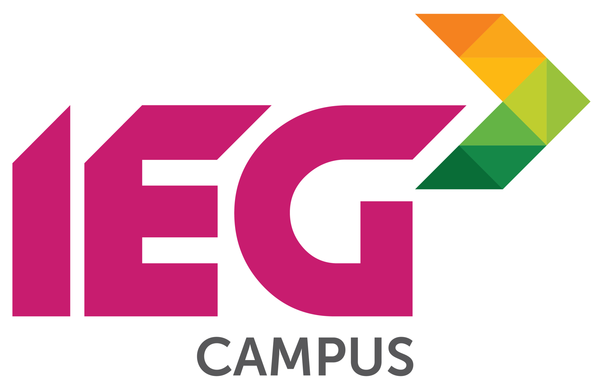 IEG Campus – Virtual Education Hub