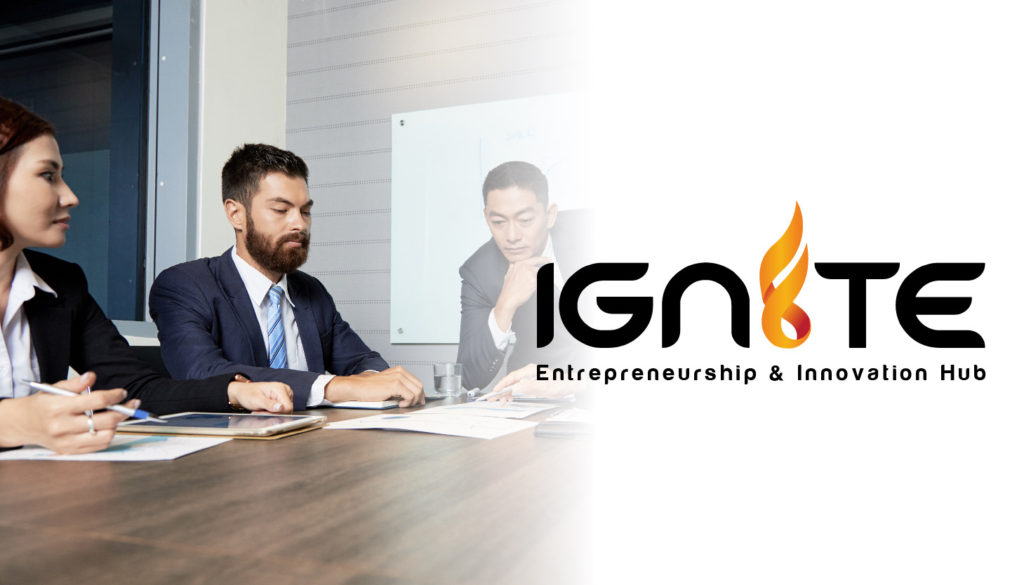 IEG Campus – Virtual Education Hub